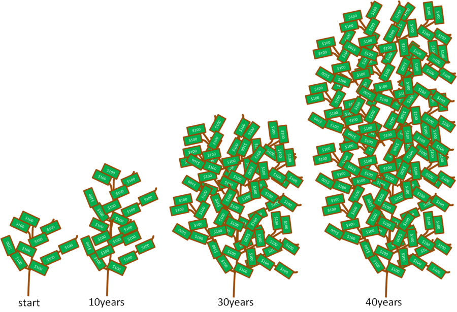Planting and growing a real money tree - Actualwealth